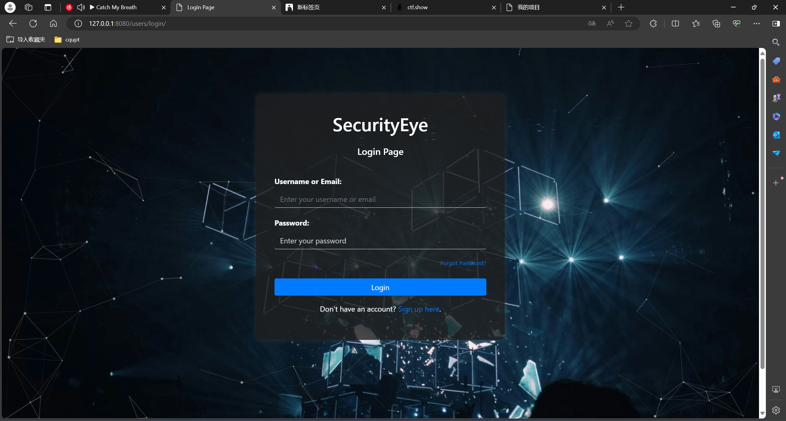 Securityeye 一款基于 Python Django 的多功能 Web 应用渗透测试系统,包含漏洞检测、目录识别、端口扫描、指纹识别